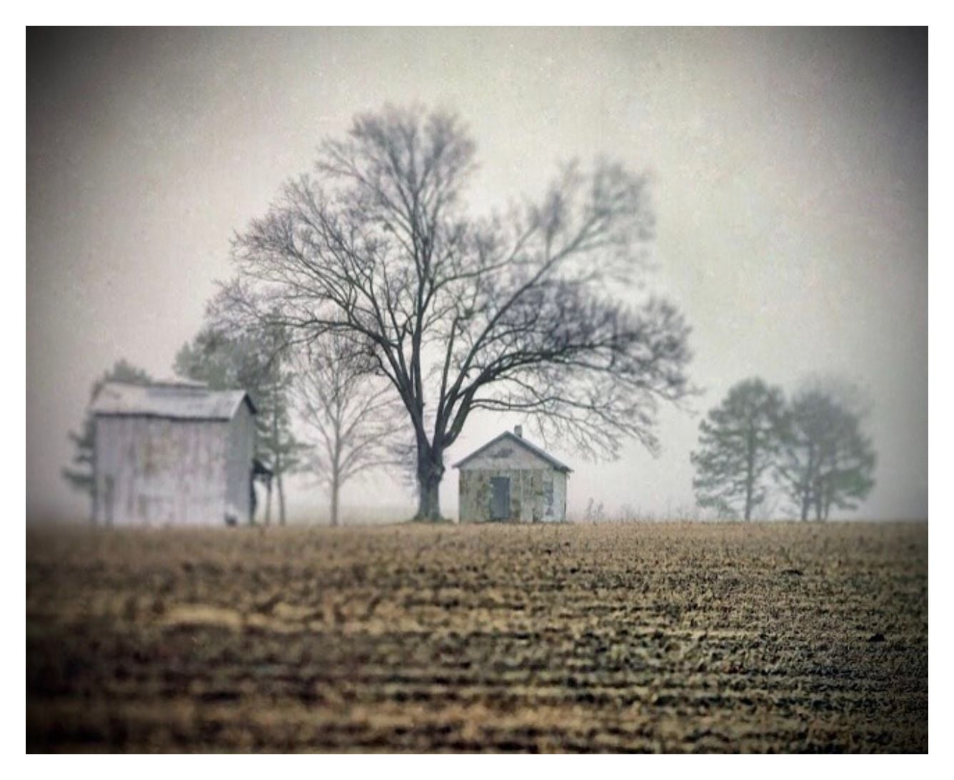 -United States Director of Photography - Jason S Boldt - Shoots.video