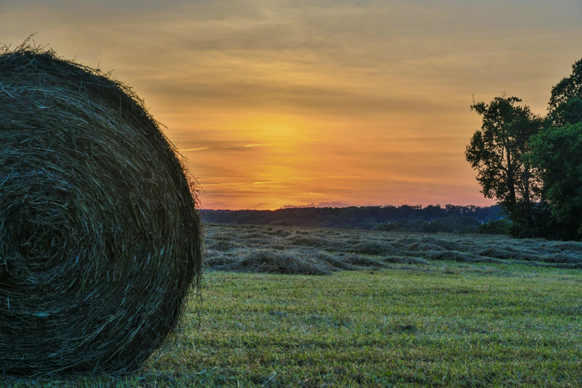 Why Maryland Is the East Coast’s Sleeper Hit for Cinematic Locations ...